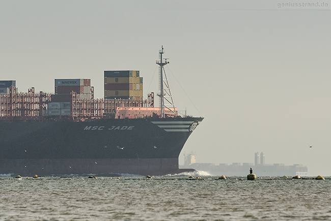 MSC Jade: Weltgrößtes Containerschiff am JadeWeserPort